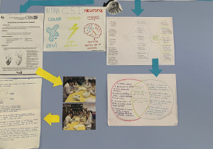 Rutinas de Pensamiento. Se pueden usar en cualquier etapa.